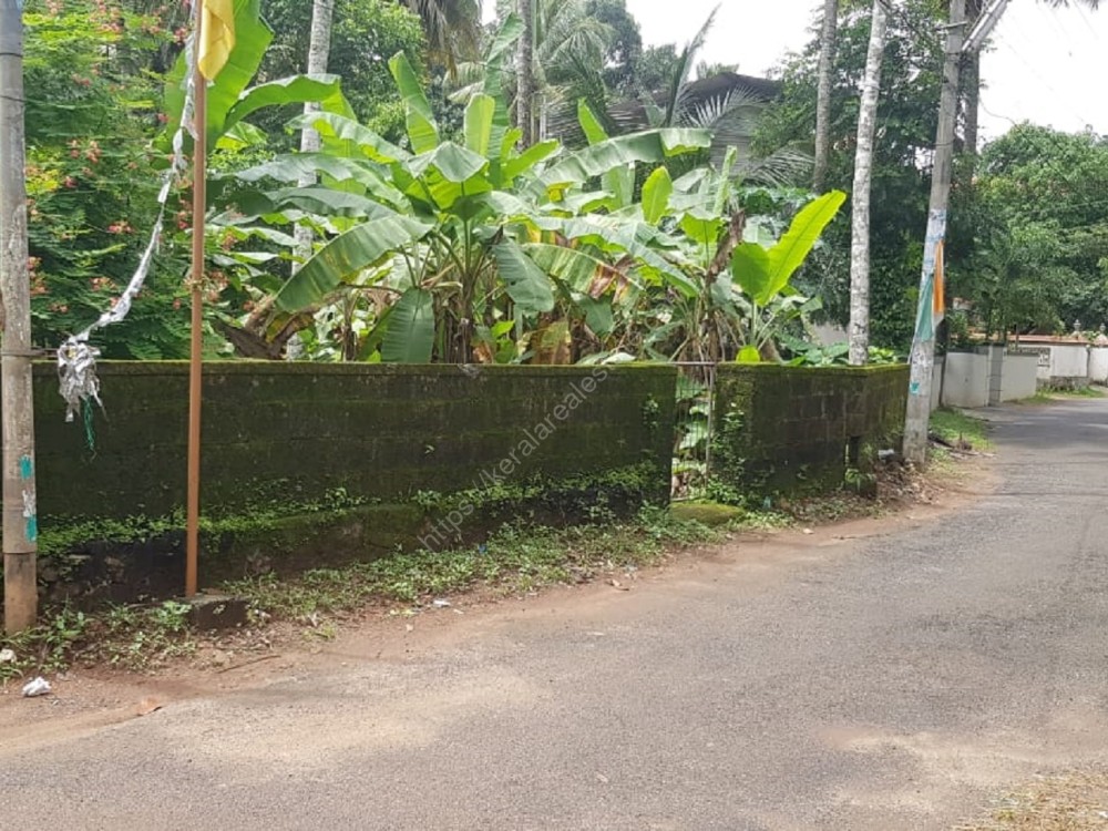 9 Cents of Good House Plot for Sale at Thalor, Near Thrissur-Kochi ...